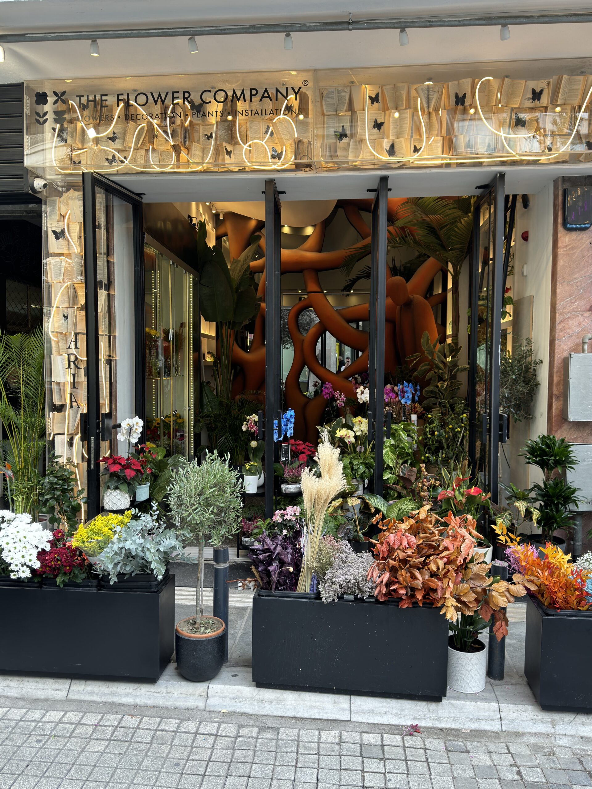 THE FLOWER COMPANY ꕥ Φυτώριο Ανθοπωλείο Θεσσαλονίκη - THE FLOWER COMPANY