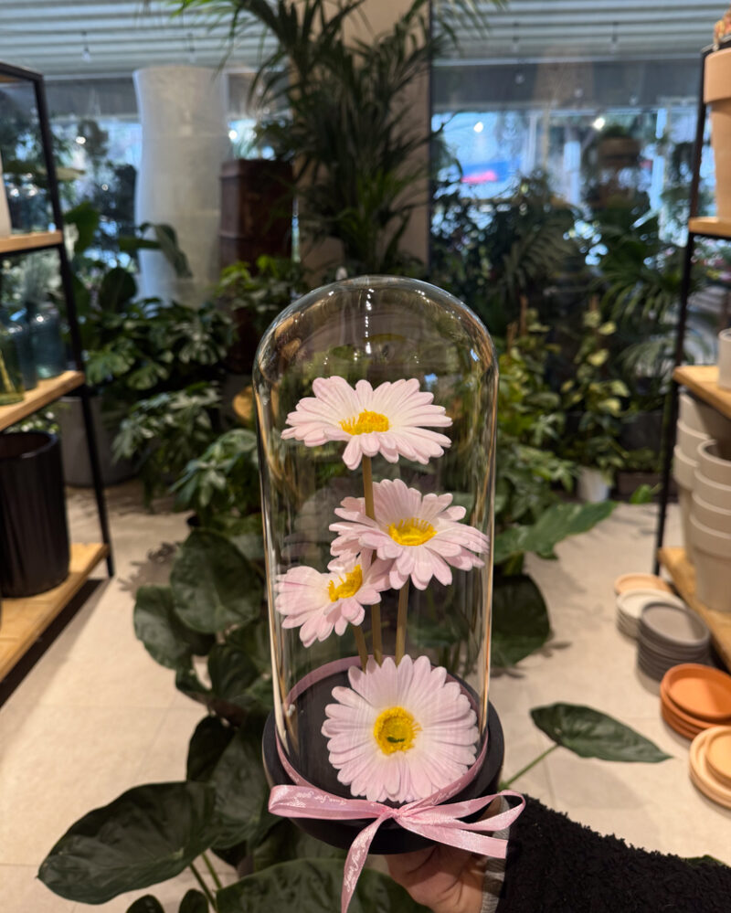 Μαργαρίτες σε Γυάλα – 4 Άνθη - THE FLOWER COMPANY